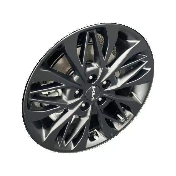 Kia Seltos Wheel Rim Stock Genuine Factory OEM Used Replacement 74837 ...